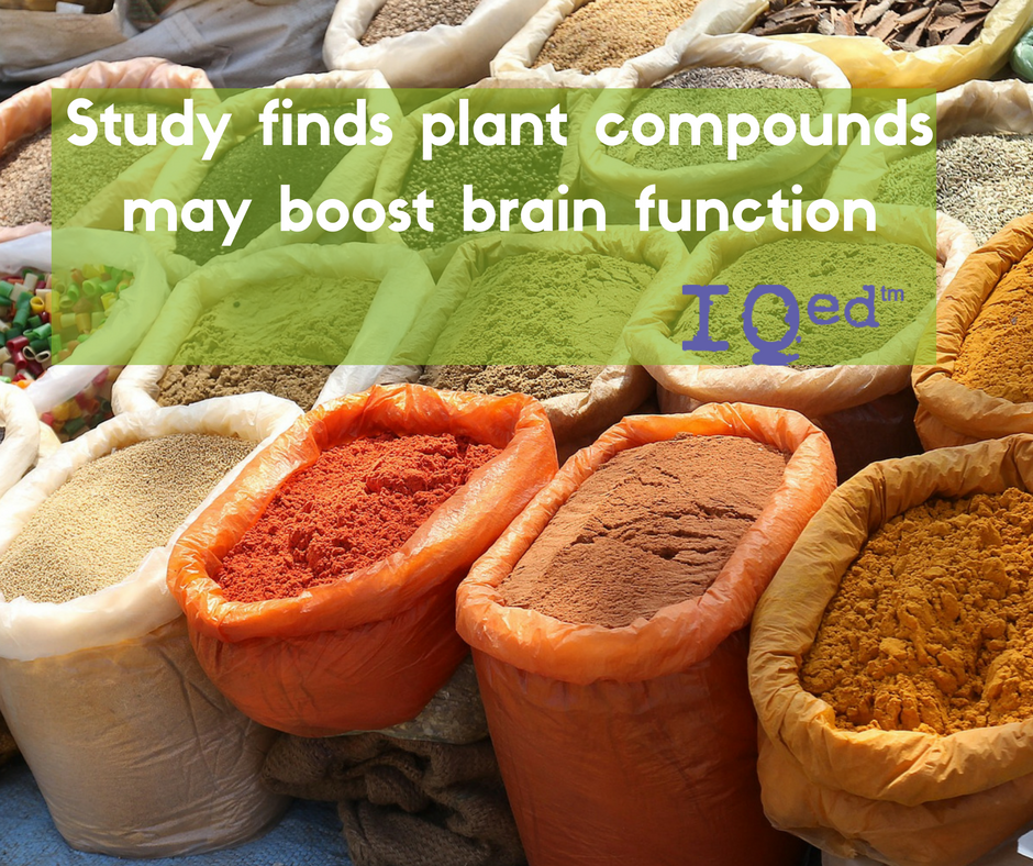 Study finds plant compounds found to boost cognition | IQed